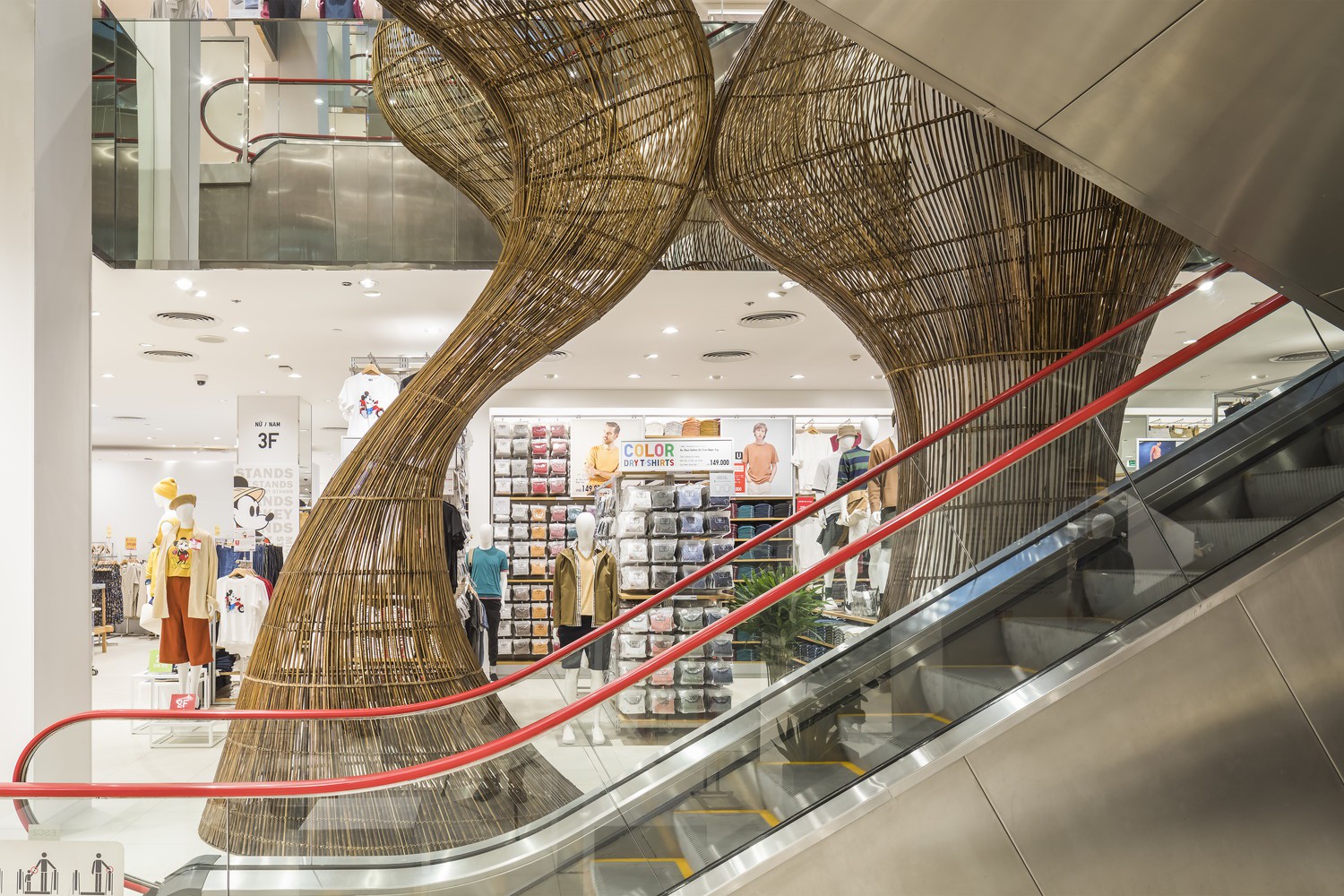 Bird Nest | VTN3